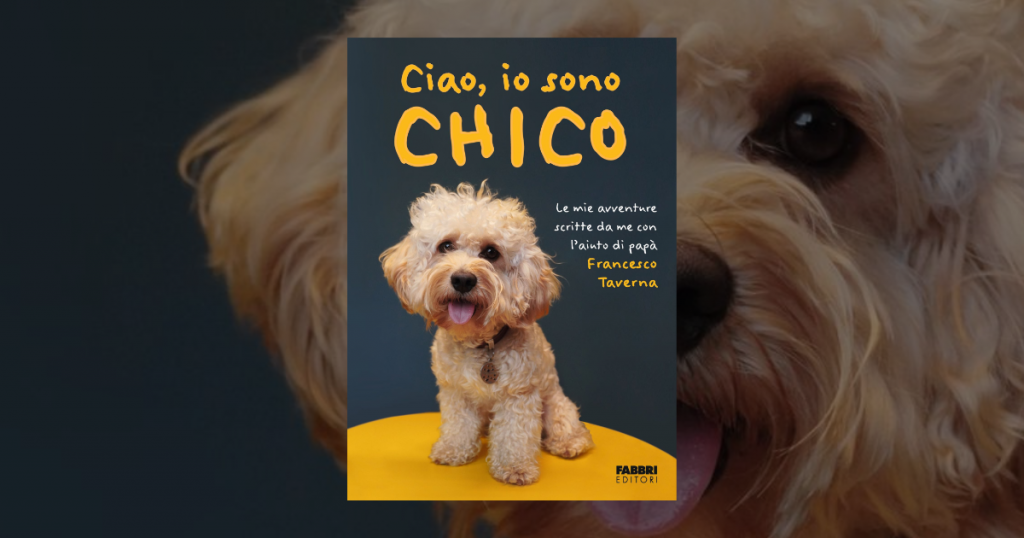 Chi è Chico: il cagnolino seguito da milioni di f(r)ollower